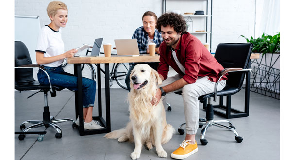 Demand For Dogs In The Workplace Increases Post lockdown FMJ demand-for-dogs-in-the-workplace-increases-post-lockdown-fmj