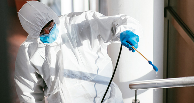 Beating the bugs - FMJ